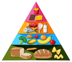 Cartoon food pyramid infographic a visual guide Vector Image