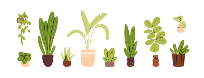 Tall Potted Plant Vector Images (over 370)