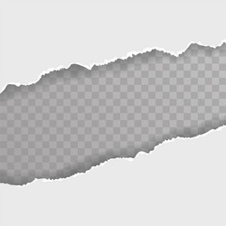 Torn paper notes sheet ripped realistic pattern Vector Image