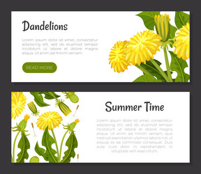 Dandelion tags design with flowering plant Vector Image