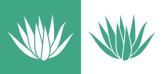 Agave Royalty Free Vector Image - VectorStock