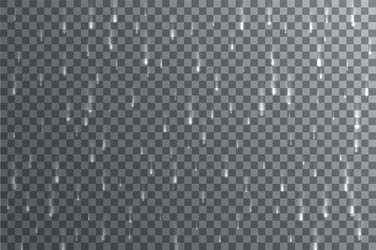 Rain on transparent background falling water Vector Image