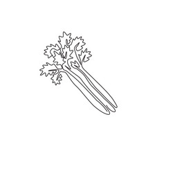 Single continuous line drawing tied bunch Vector Image