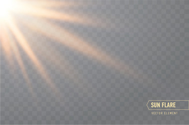 Starburst Transparent Flickering Vector Images (65)