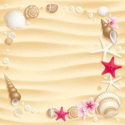 Seashell header Royalty Free Vector Image - VectorStock
