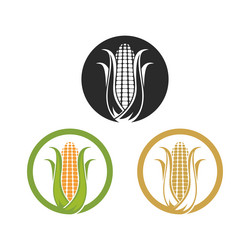 Corn logo Royalty Free Vector Image - VectorStock