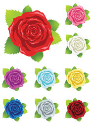 Seamless from roses Royalty Free Vector Image - VectorStock