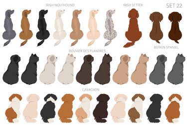 Sitting Dogs Backside Clipart Rear View Vector Images (23)