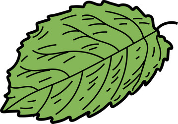 Elm Leaf Vector Images (over 2,000)