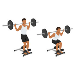 Man doing smith machine barbell squat exercise Vector Image