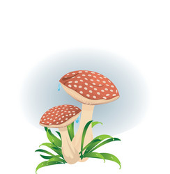 Toadstools Vector Images (over 10,000)