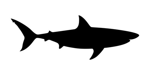 Shark Vector Images (over 29,000)