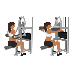 Woman doing lateral side shoulder dumbbell raises Vector Image