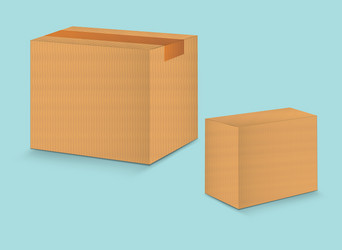 Brown paper packaging box package design Vector Image