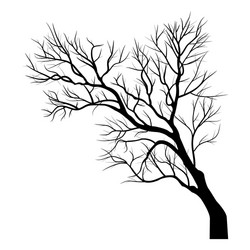 Tree Royalty Free Vector Image - VectorStock