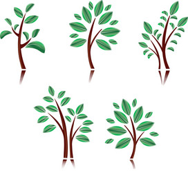 Tree symbols set Royalty Free Vector Image - VectorStock