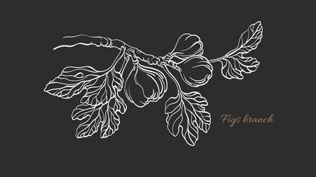 Fig Tree Silhouette Vector Images (over 180)