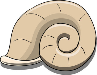 Seashell Shell Helix Vector Images (over 180)