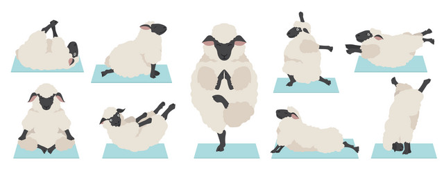 Sheep poses collection farm animals set flat Vector Image