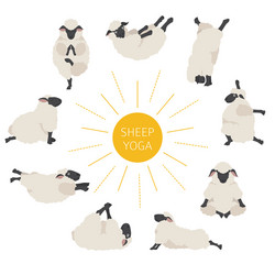 Sheep poses collection farm animals set flat Vector Image