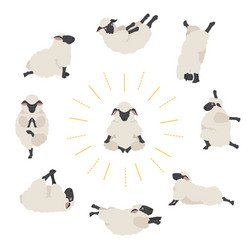 Sheep poses collection farm animals set flat Vector Image
