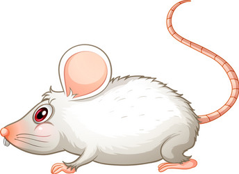 Mouse Vector Images (over 120,000)