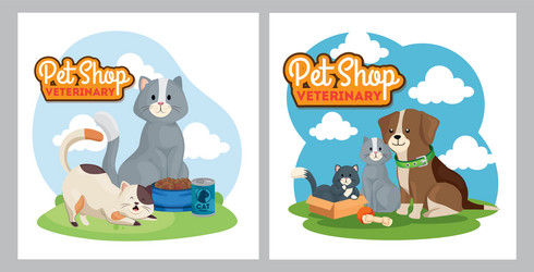 Pet shop poster with lovely cats and green Vector Image