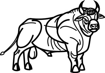 Drawing of standing bull Royalty Free Vector Image