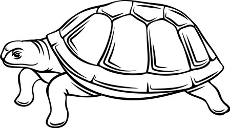 Sea Turtle Outline Vector Images (over 3,100)