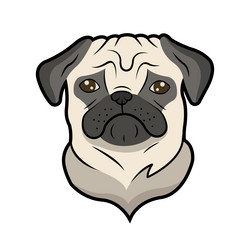Isolated pug avatar Royalty Free Vector Image - VectorStock