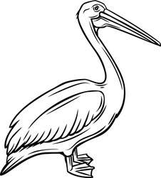 Hand drawn feathers Royalty Free Vector Image - VectorStock
