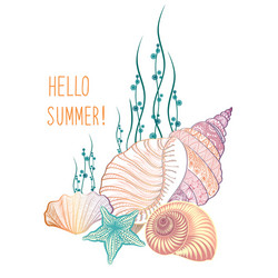 Seashell background sea nautical design Royalty Free Vector