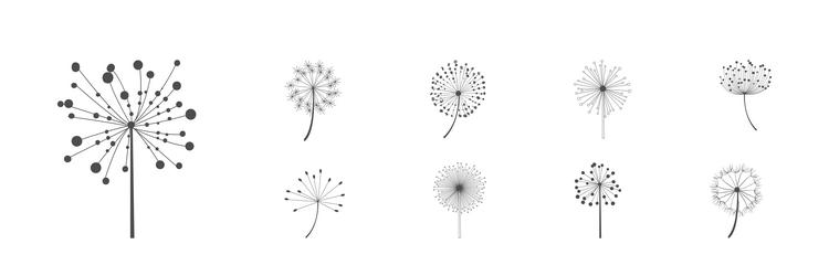 Dandelion signs black thin line icon set Vector Image