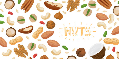Nuts Flyer Vector Images (over 770)