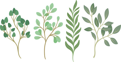Tree twigs and branches with green leaves Vector Image