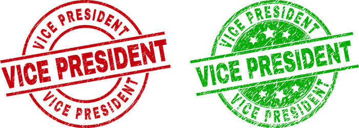 Scratched textured vice president round stamp seal