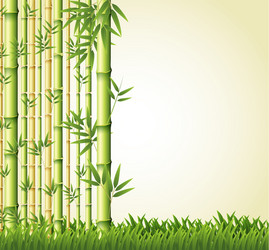 Nature background design with bamboo Royalty Free Vector