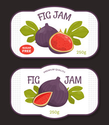 Fig jam natural product label design with ripe Vector Image