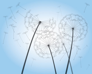Dandelion Outline Vector Images (over 1,000)