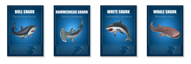 Shark poster set Royalty Free Vector Image - VectorStock
