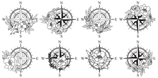 Compass Rose Flower Vector Images (over 270)