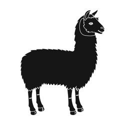 Lama a south american pack animal lame Royalty Free Vector
