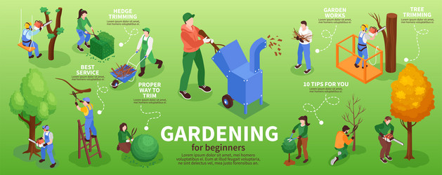 Garden workers flowchart Royalty Free Vector Image