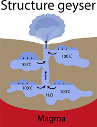 Formation geyser Royalty Free Vector Image - VectorStock