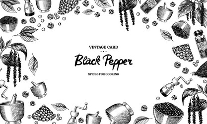 Black pepper drawing set peppercorn heap Vector Image