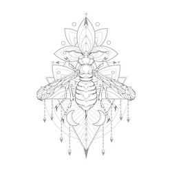 Bee Sacred Geometry Vector Images (98)