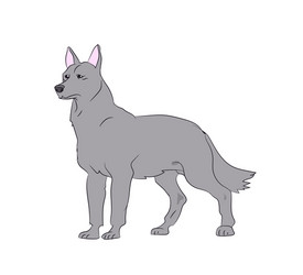 Dog stands Royalty Free Vector Image - VectorStock