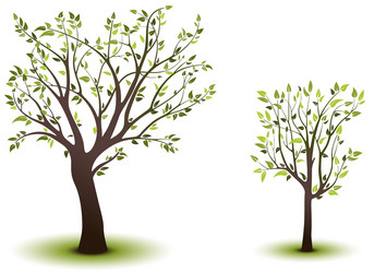 Trees Royalty Free Vector Image - VectorStock