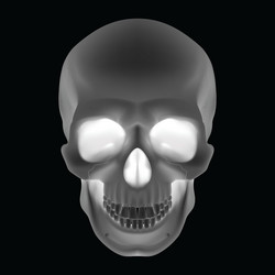 Skull Front Facing Vector Images (over 1,500)