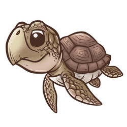 Turtle Royalty Free Vector Image - VectorStock